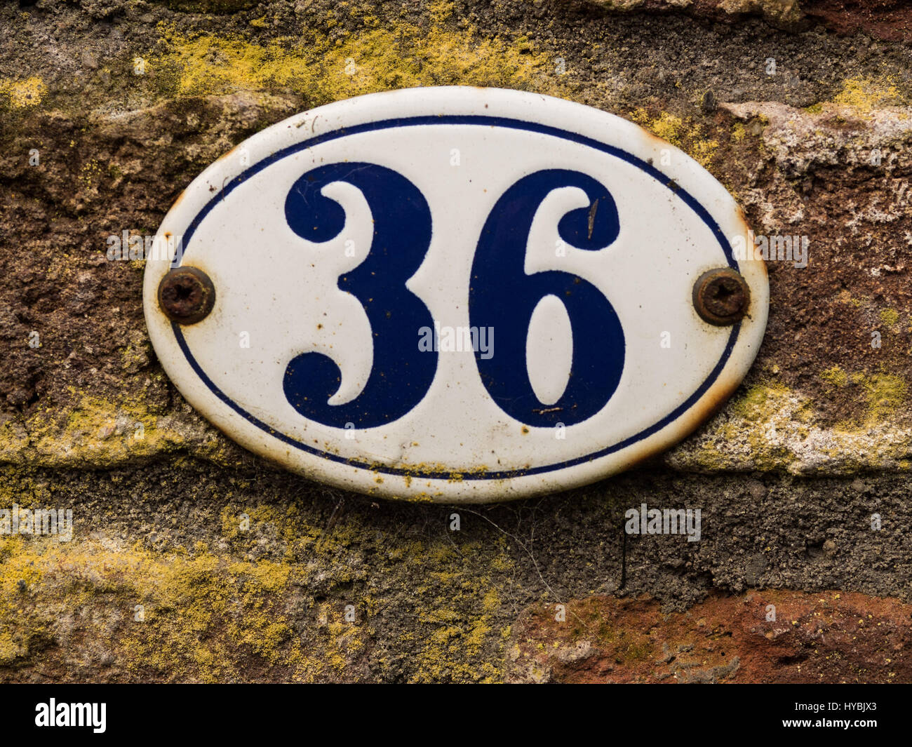 enameled old house number 36 in wihte and blue Stock Photo - Alamy