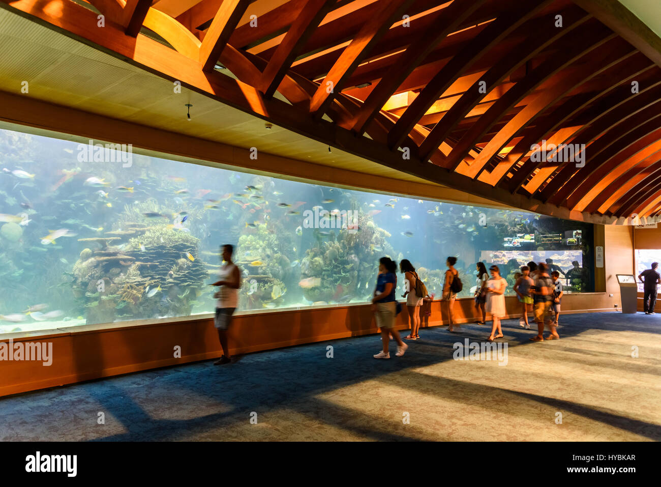 Loceanographic hi-res stock photography and images - Alamy