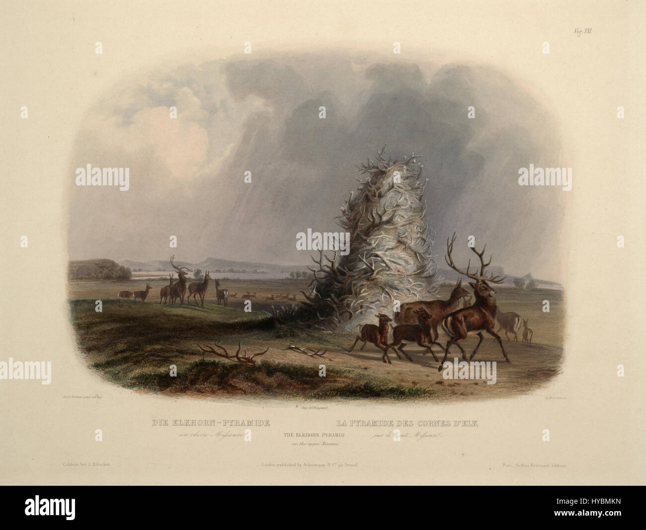 Pietro Cavallini's work '011' exemplifies his distinctive approach to medieval art, reflecting ...