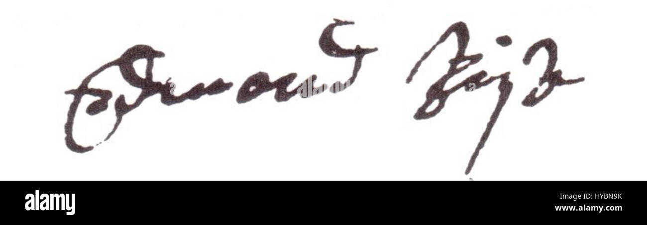 Edmund Rice, a prominent figure in the history of Irish immigration and ...