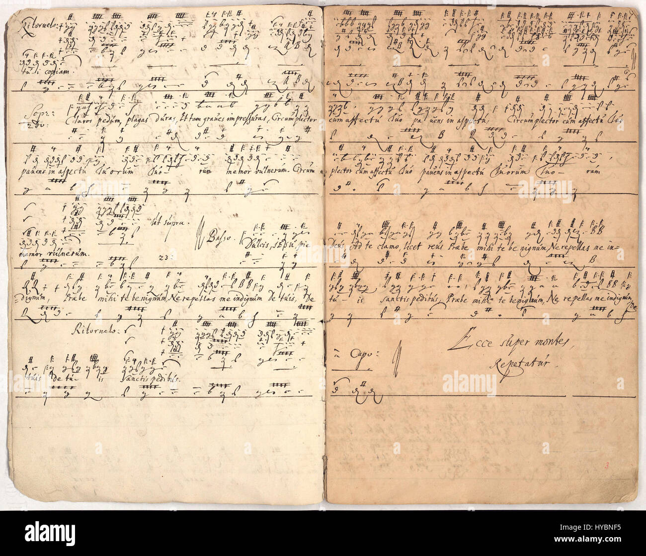 Pedes hi-res stock photography and images - Alamy