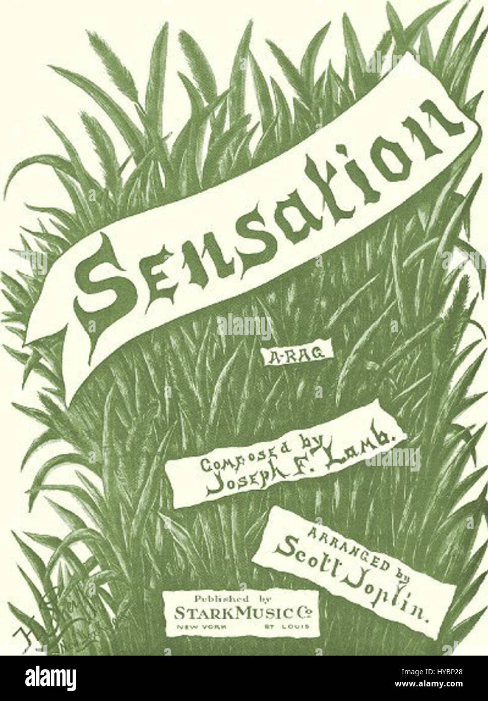 The 'Sensation Rag' is a piece of sheet music from the ragtime genre ...