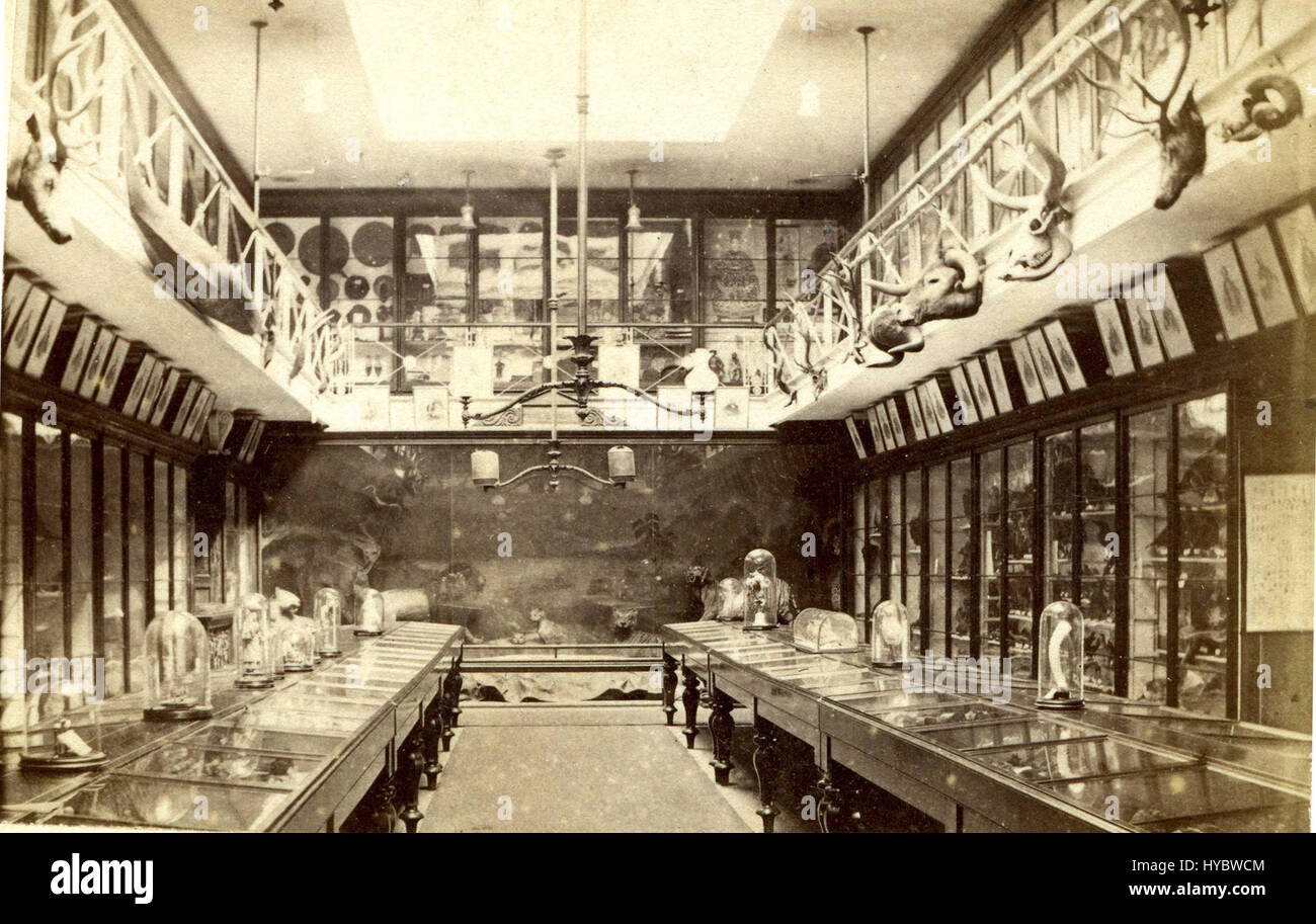 19th century museum architecture hi-res stock photography and images ...