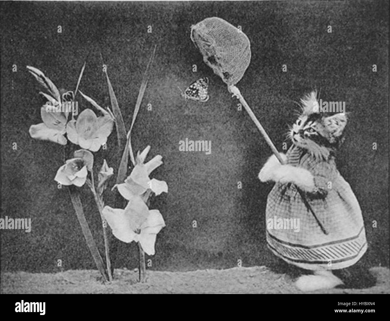 A playful photograph by Harry Whittier Frees, 'The Animal Mother Goose ...