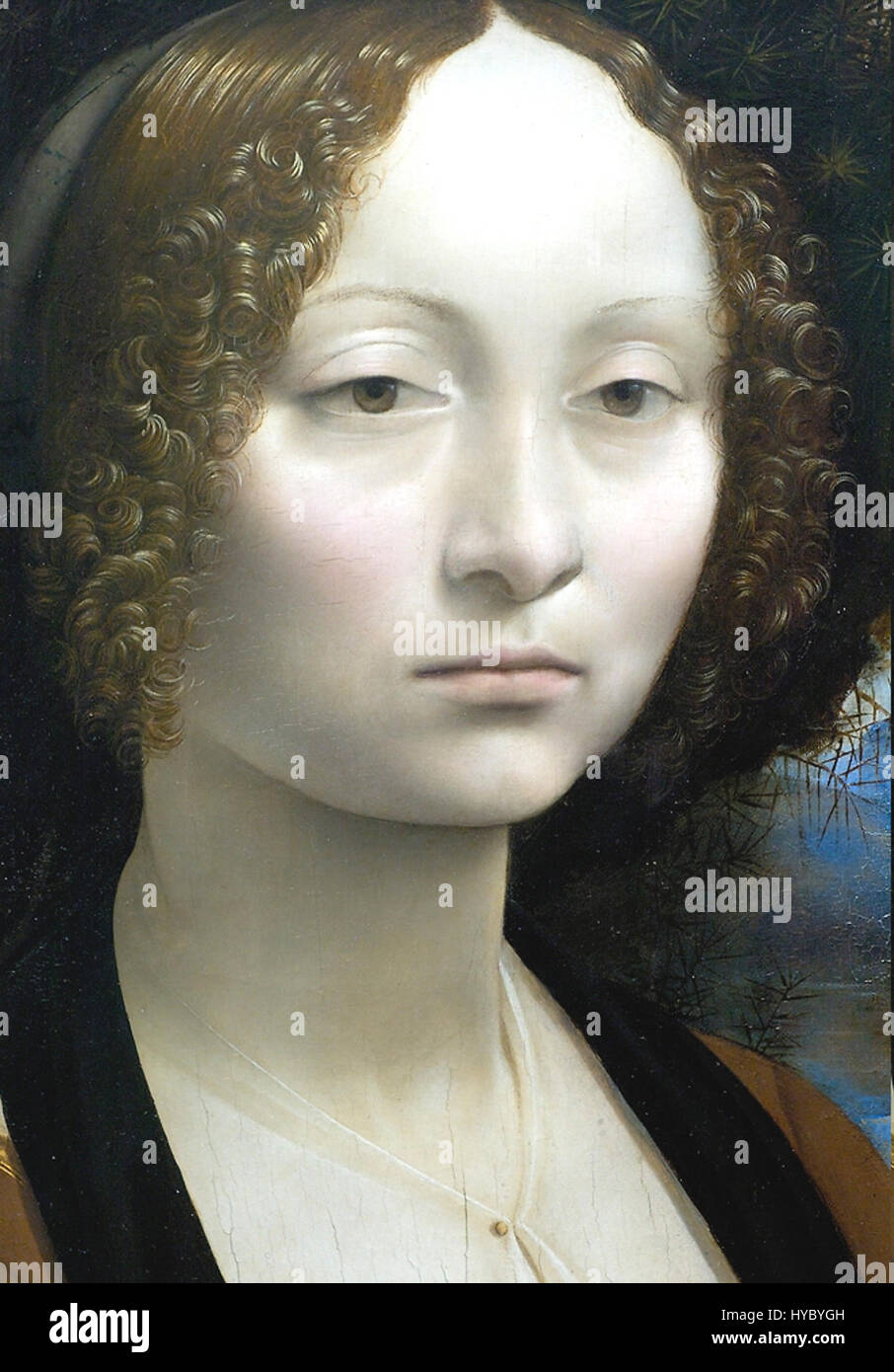 Leonardo da Vinci, one of the most renowned artists of the Italian ...