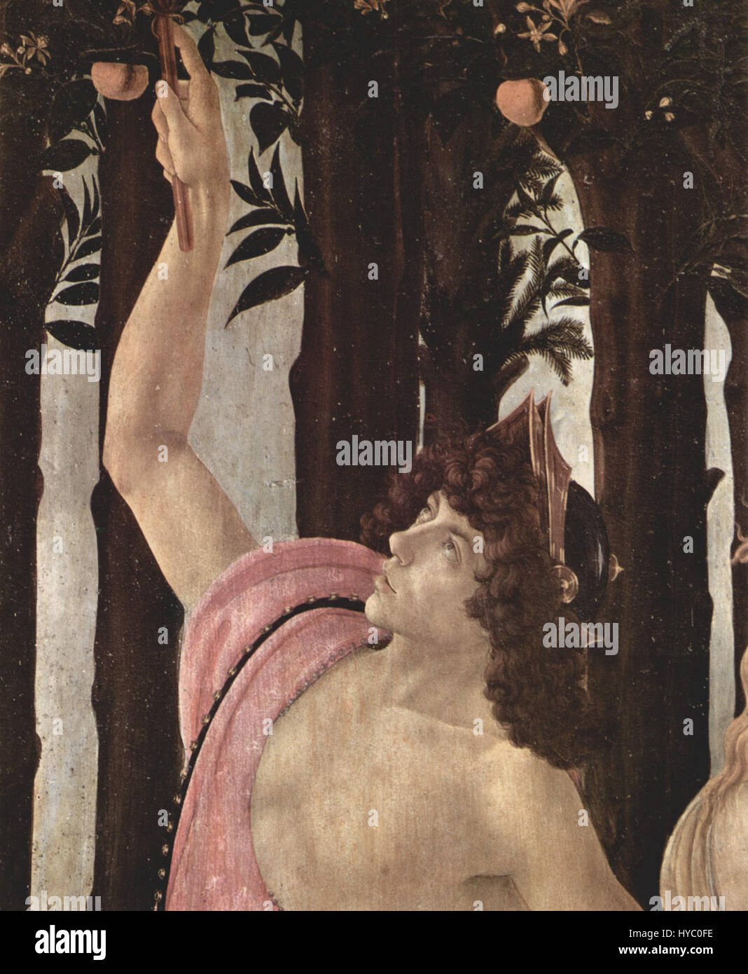 Sandro Botticelli (1445–1510) was an Italian painter of the Early ...