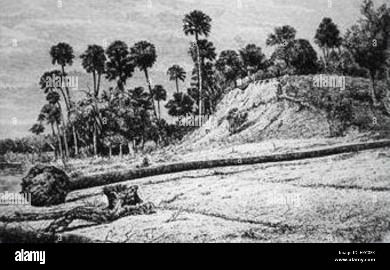 Shell midden hi-res stock photography and images - Alamy