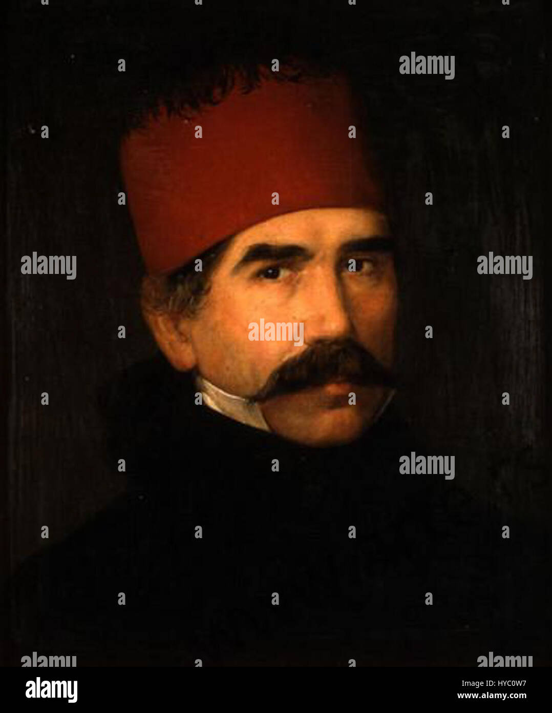 Vuk Karadžić was a Serbian linguist and reformer, known for his work in ...