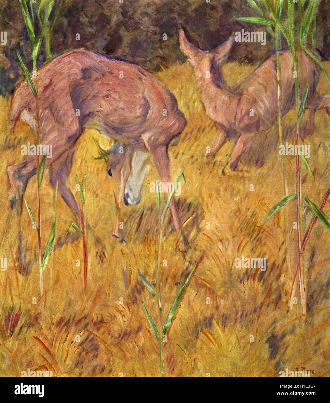 Franz Marc was a German painter, widely known for his works featuring ...