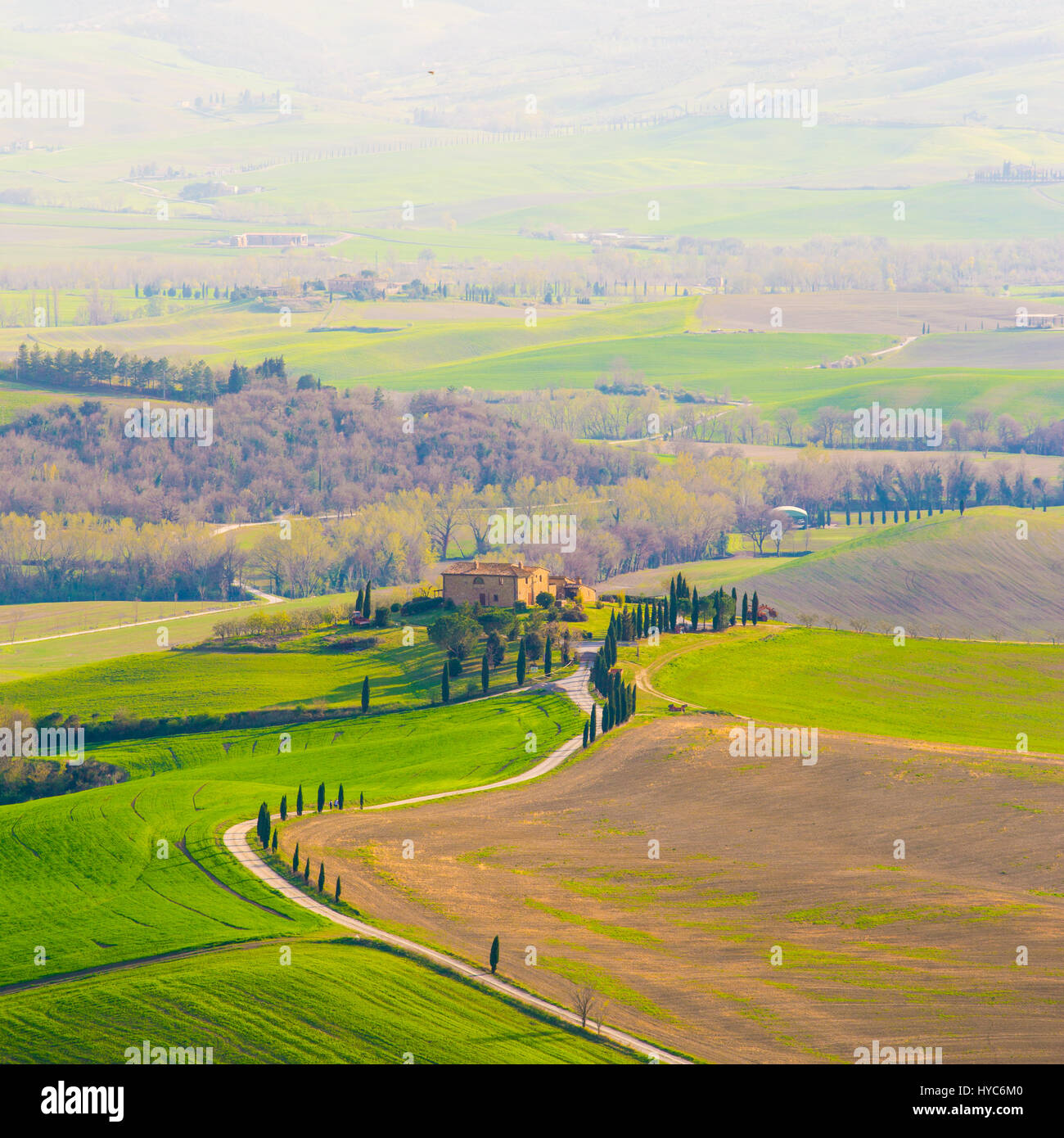Tuscany, spring landscape, rolling hills at sunset Stock Photo - Alamy