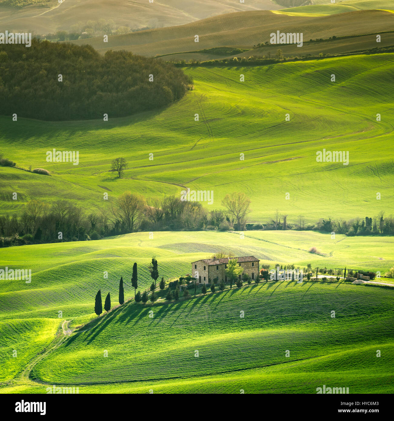 Tuscany, spring landscape, rolling hills at sunset Stock Photo - Alamy