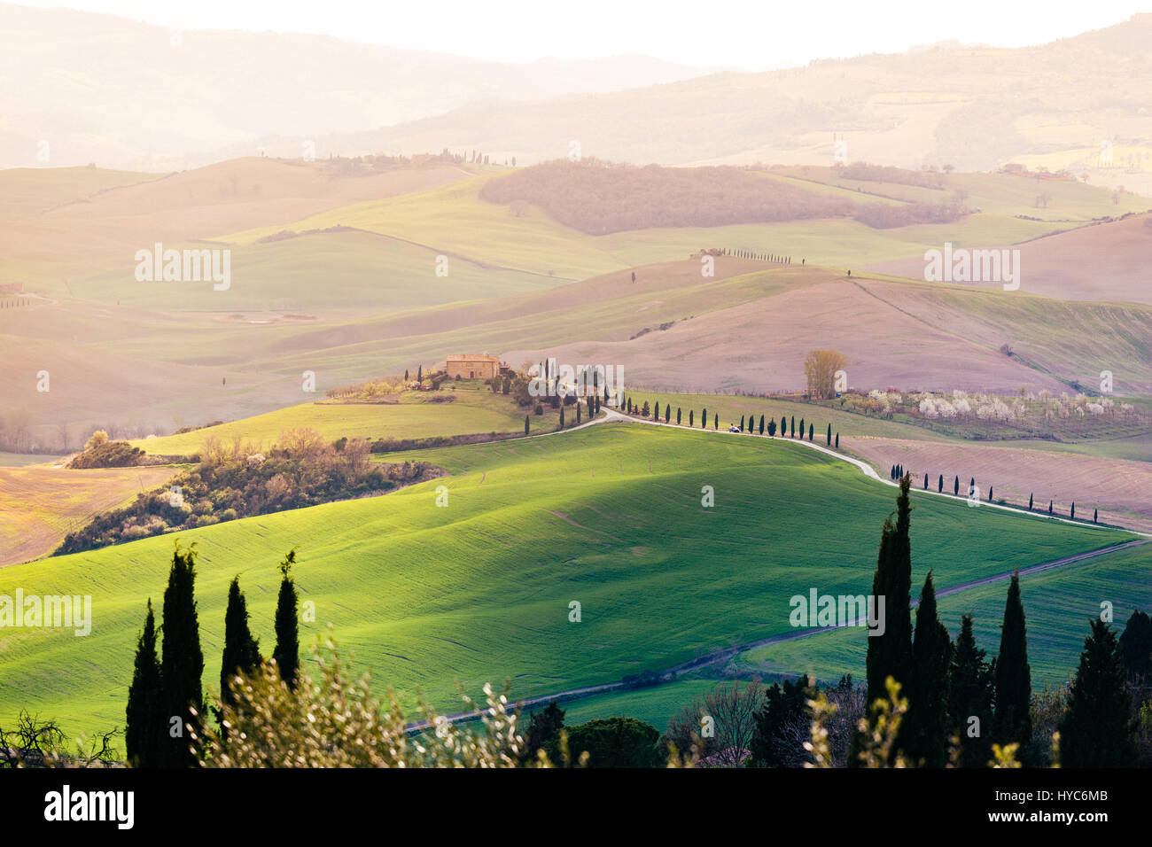Tuscany, spring landscape, rolling hills at sunset Stock Photo - Alamy