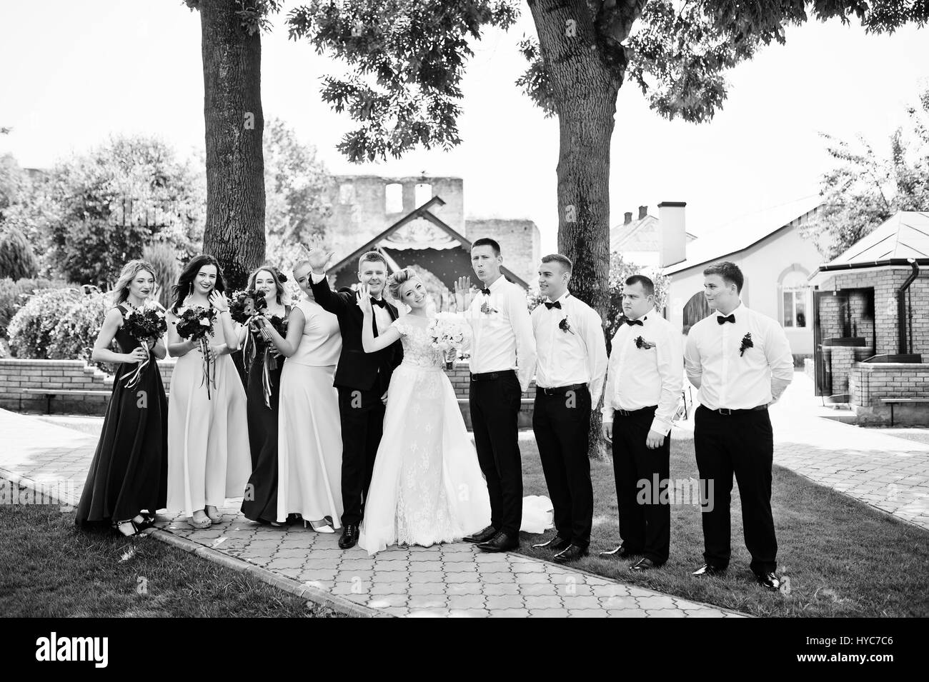 Elegance wedding couple with bridesmaids and best mans. Crowd of ...