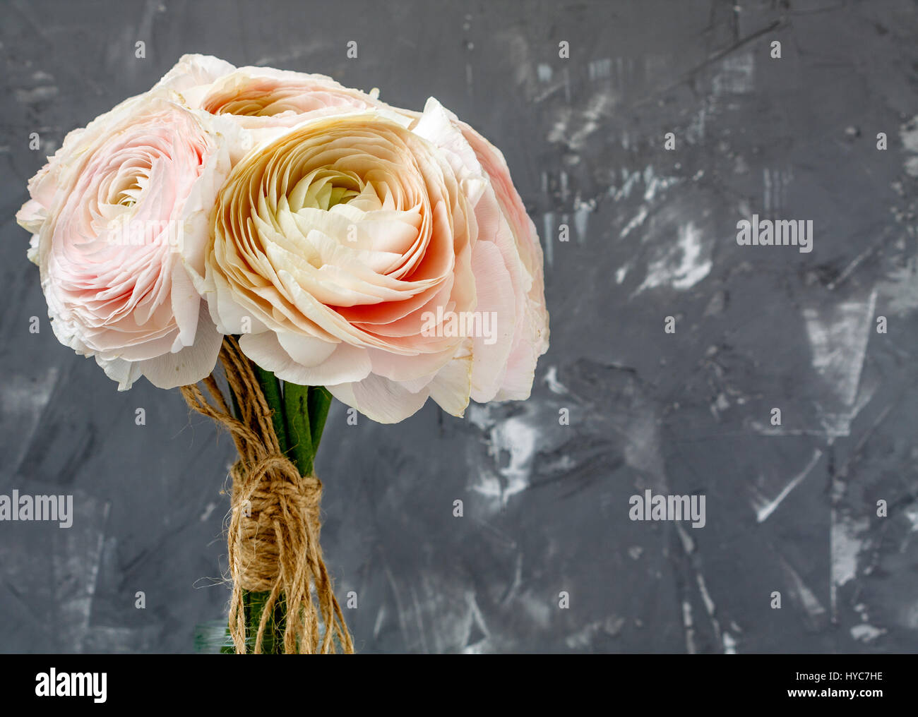 Ranunculus elegance green hi-res stock photography and images - Alamy
