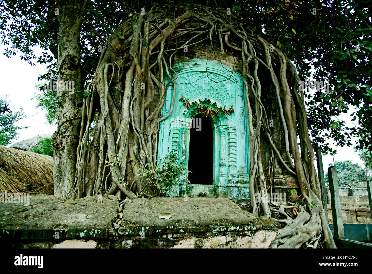 Banyan tree india village hi-res stock photography and images - Alamy