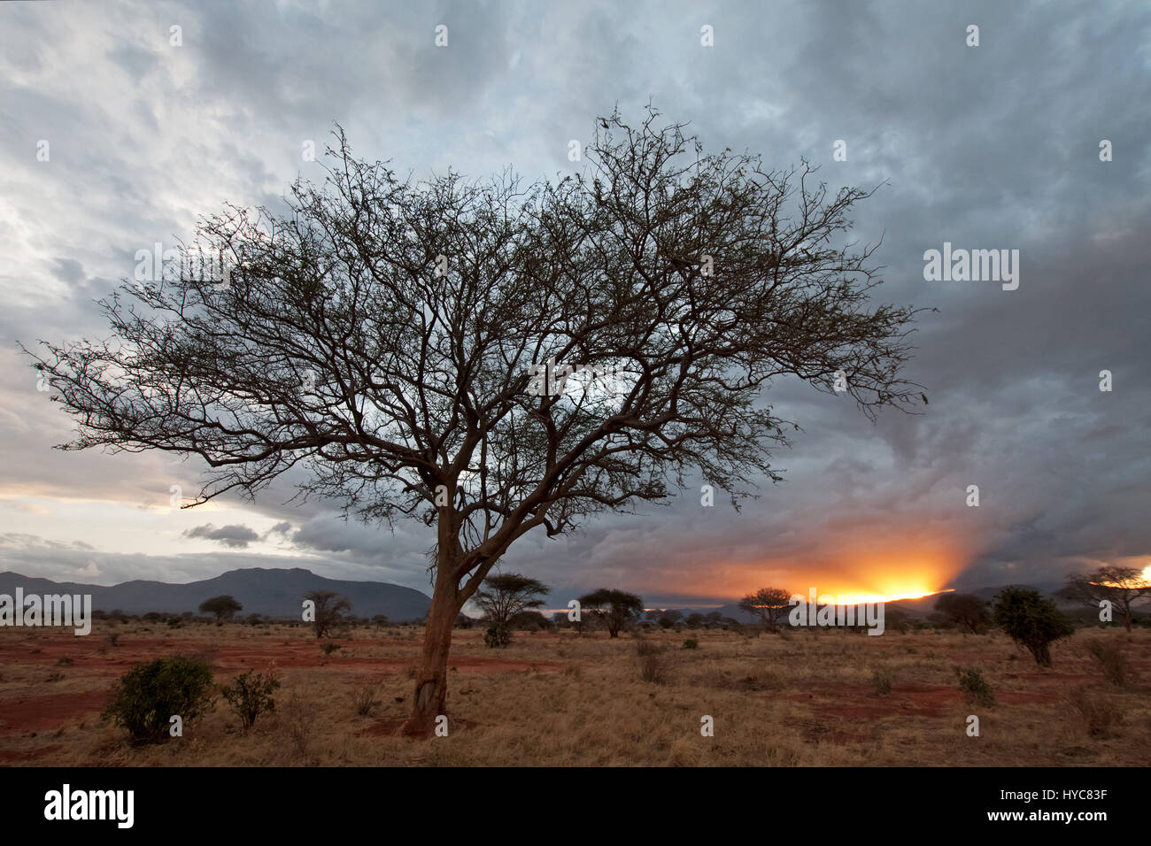 African sunset colors hi-res stock photography and images - Alamy