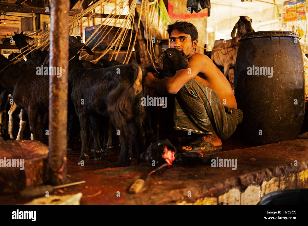 goat market place, dhaka, bangladesh Stock Photo - Alamy
