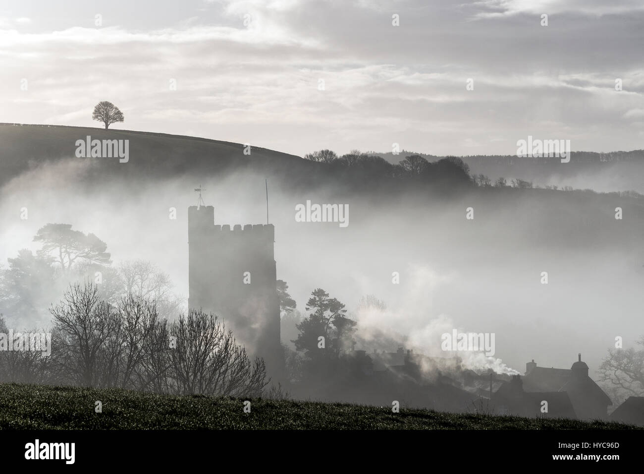 Oak mist campaign hi-res stock photography and images - Alamy