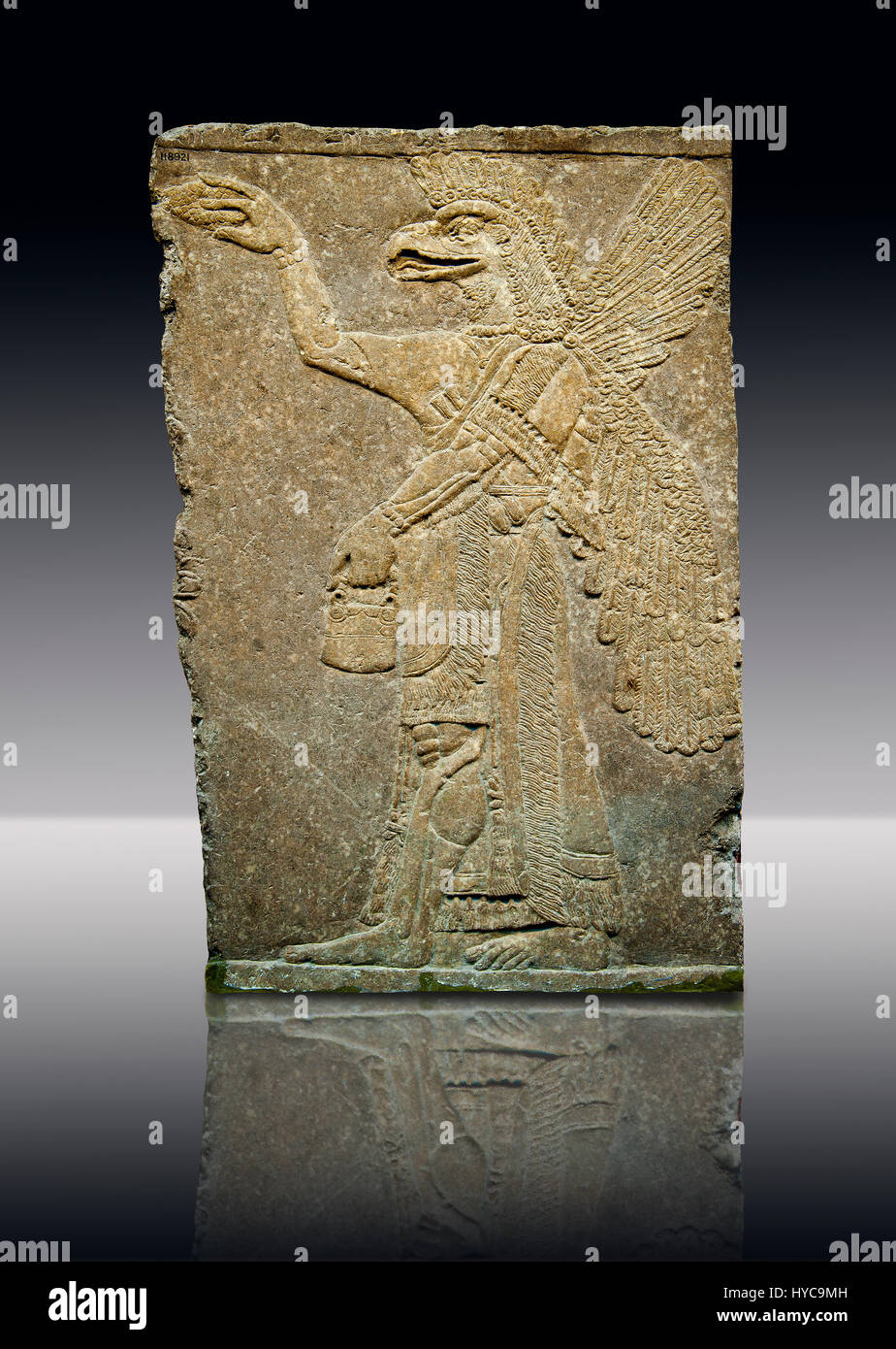 Assyrian Bas Relief High Resolution Stock Photography and Images - Alamy