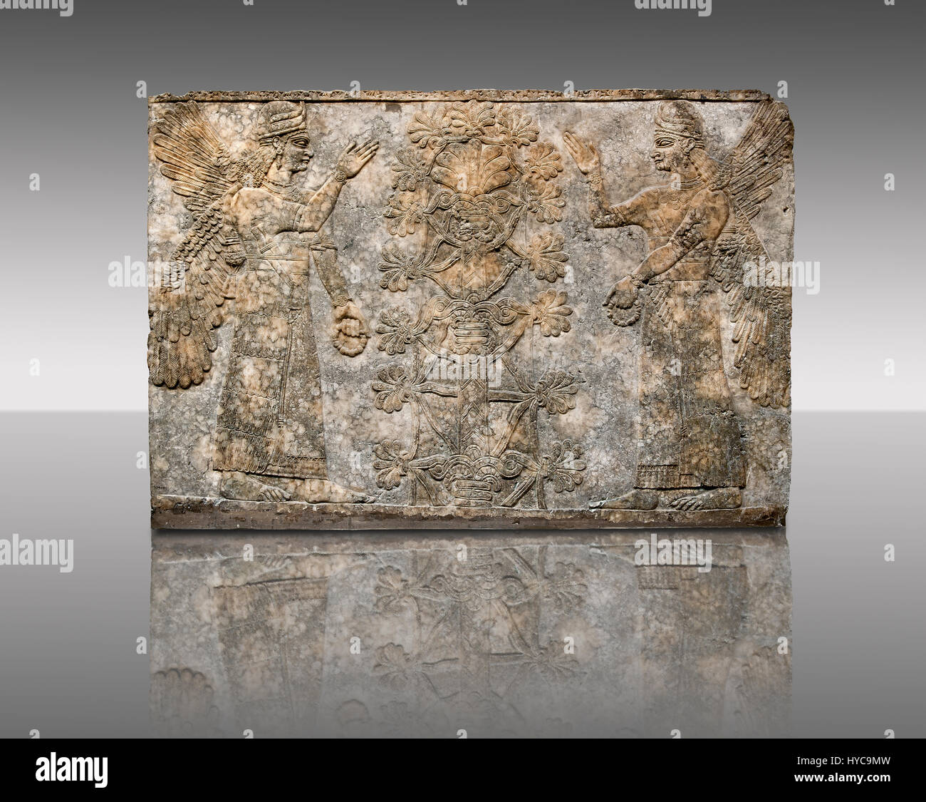 Assyrian relief british nimrud hi-res stock photography and images - Alamy