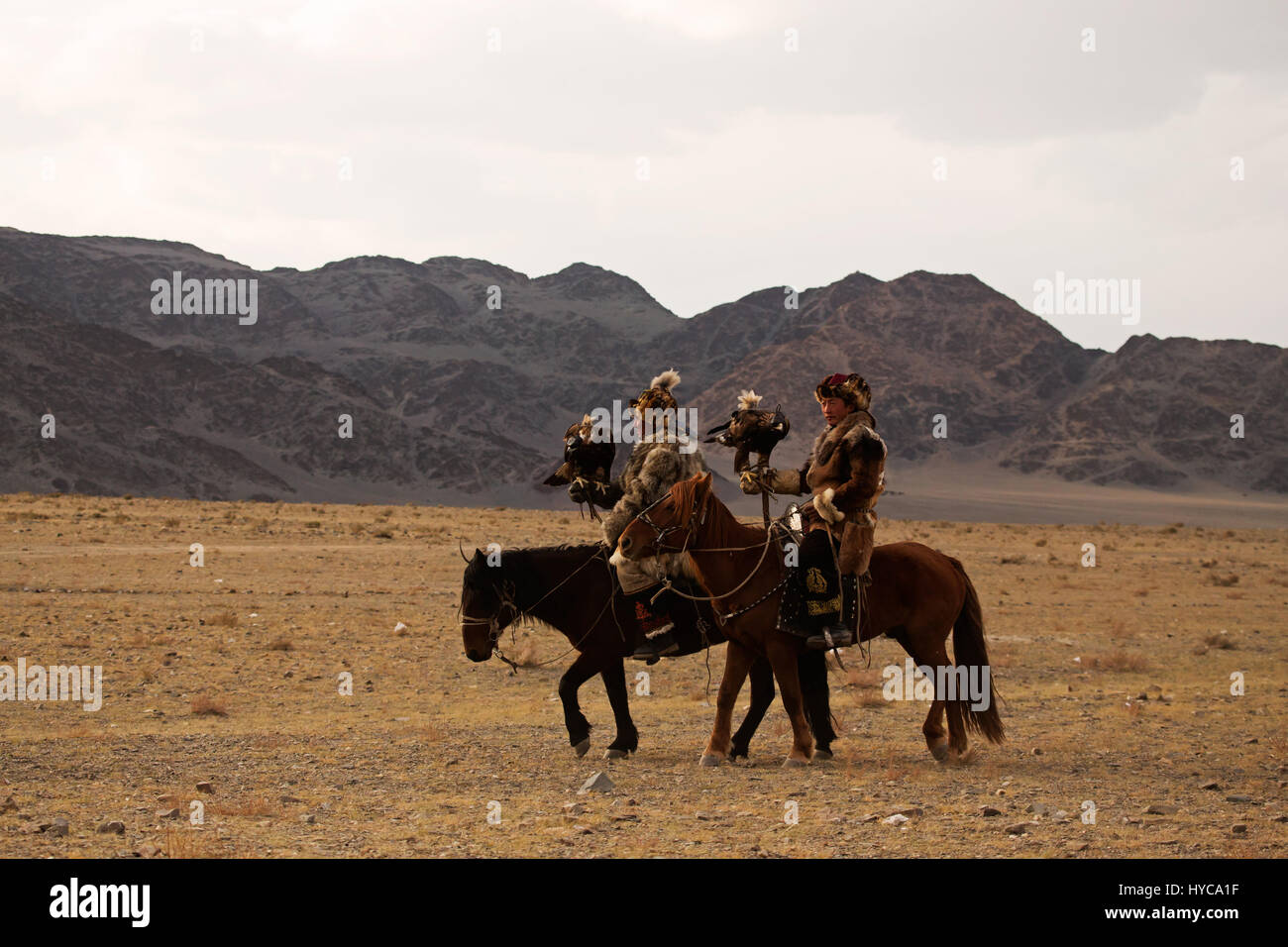 eagle hunters at golden eagle festival, bayan, olgii, mongolia Stock ...