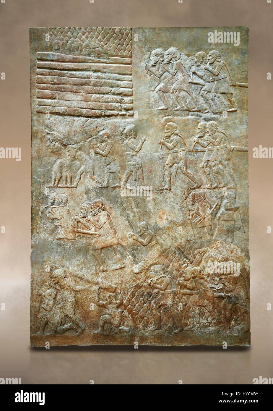 Stone relief sculptured panel of cedar of Lebanon being transported ...