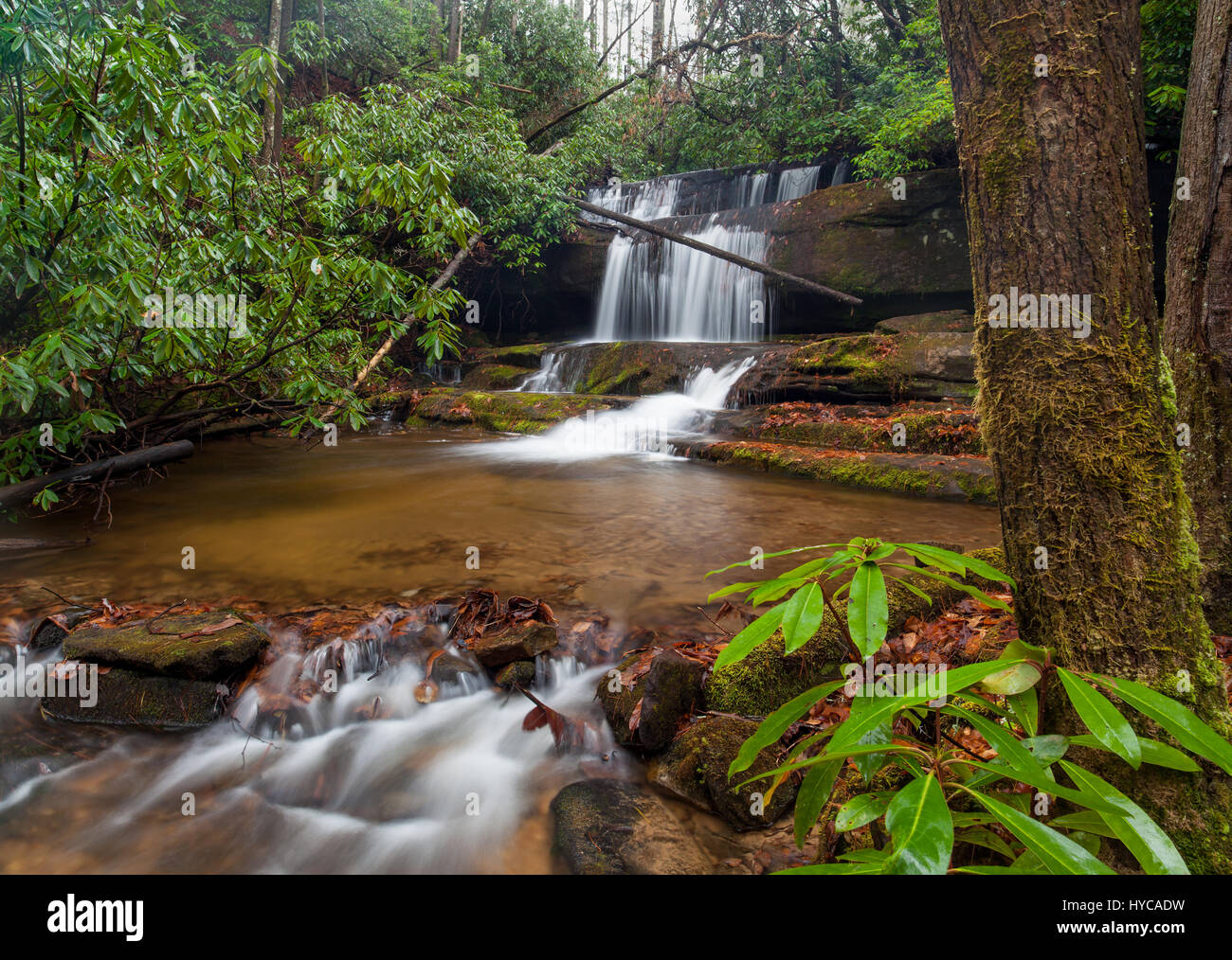 Crow Creek Falls are located on Crow Creek near where it empties into ...