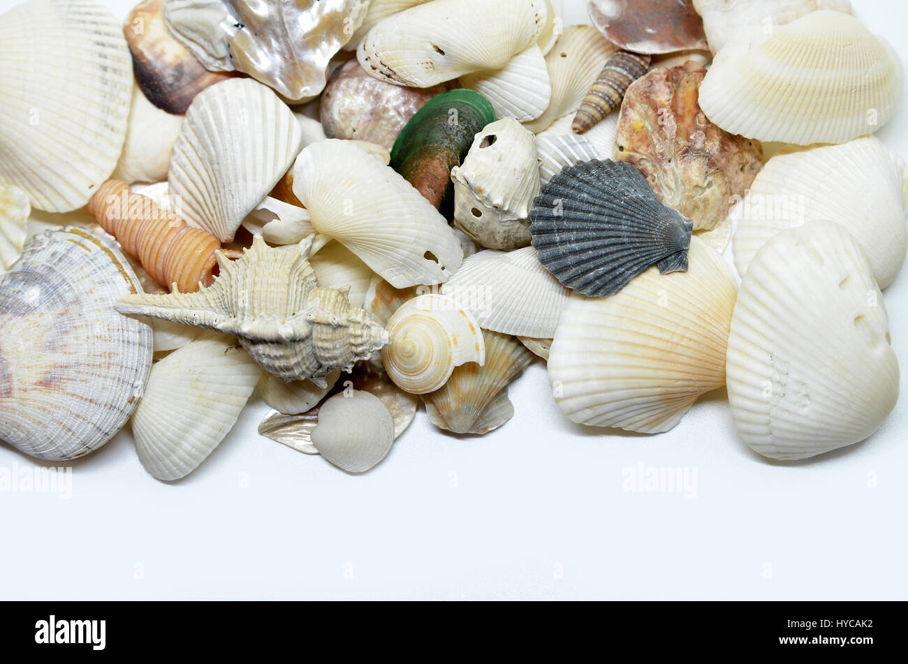 Sea shells scraped together, isolated on white background Stock Photo ...