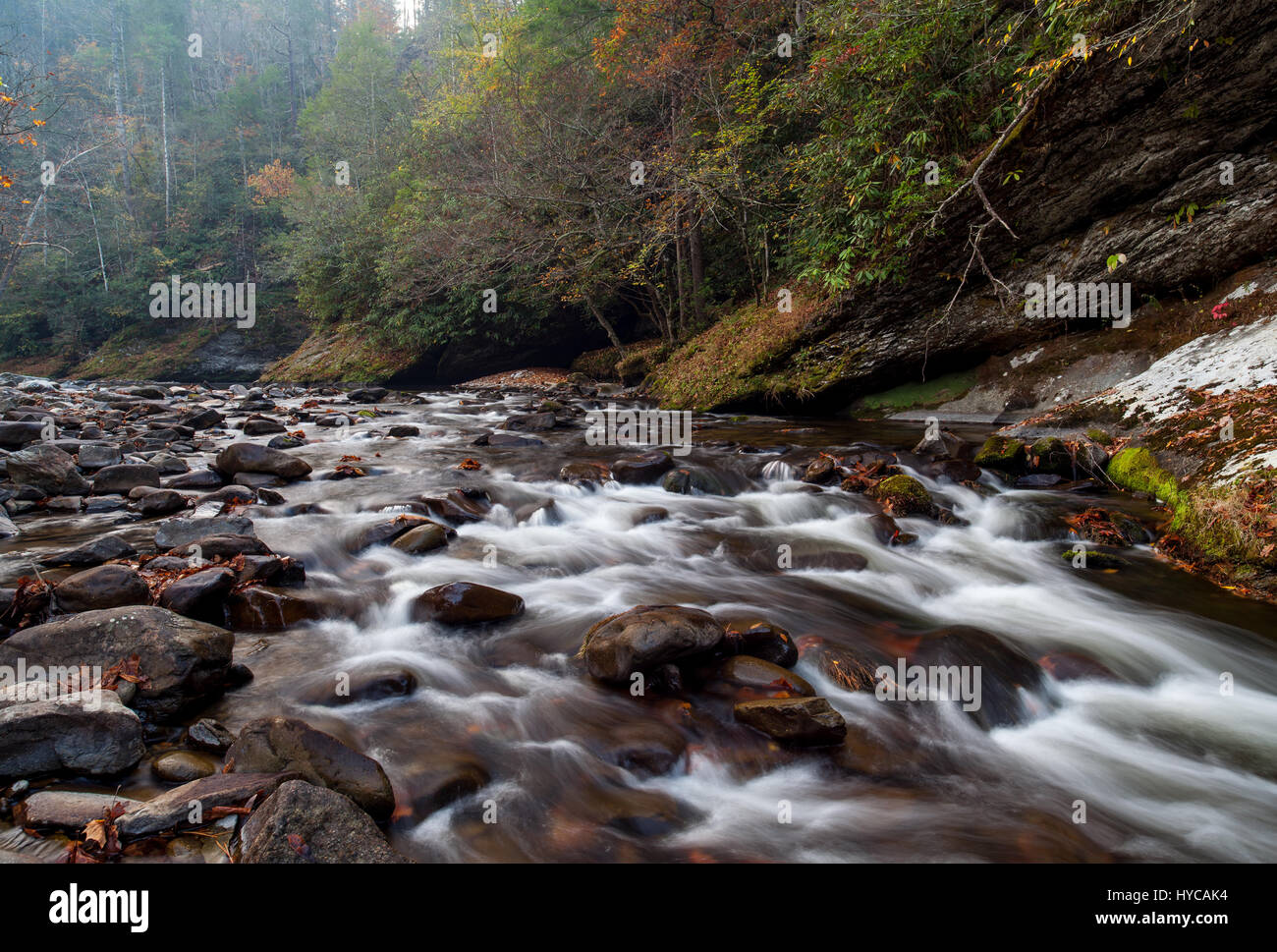 This image was taken along the Little River Gorge Road in the Great ...