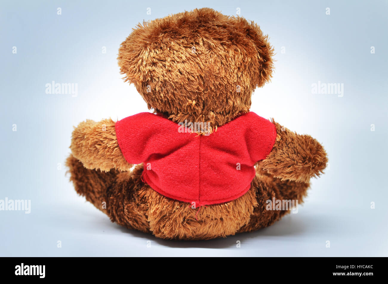 Back view of teddy bear on white isolated background Stock Photo - Alamy