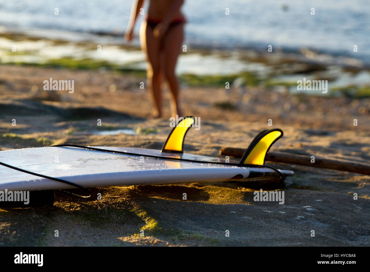 Surfboard on the beach Stock Photo - Alamy