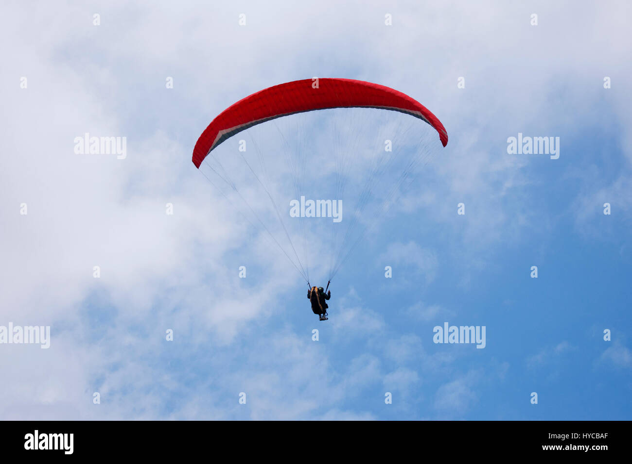 One paraglider in the blue sky with red parachute gliding for fun and ...