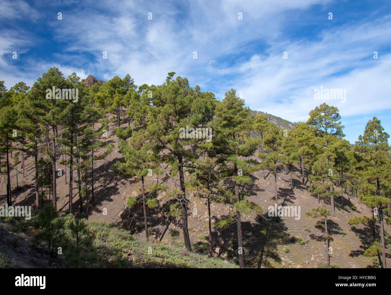 Central Gran Canaria, protected area of Integral Nature Reserve Inagua ...