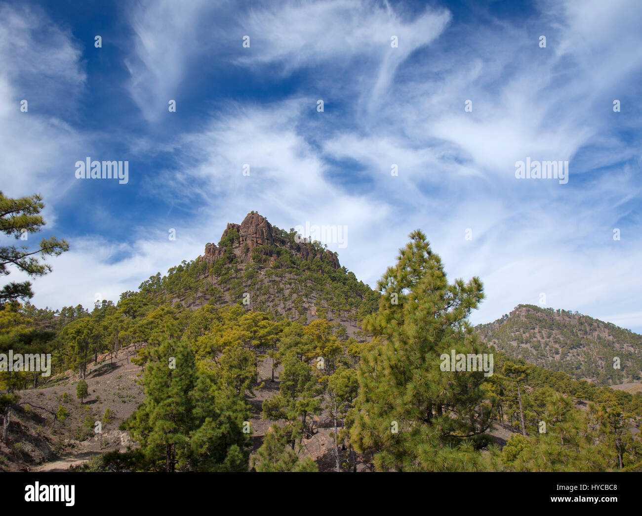 Central Gran Canaria, protected area of Integral Nature Reserve Inagua ...
