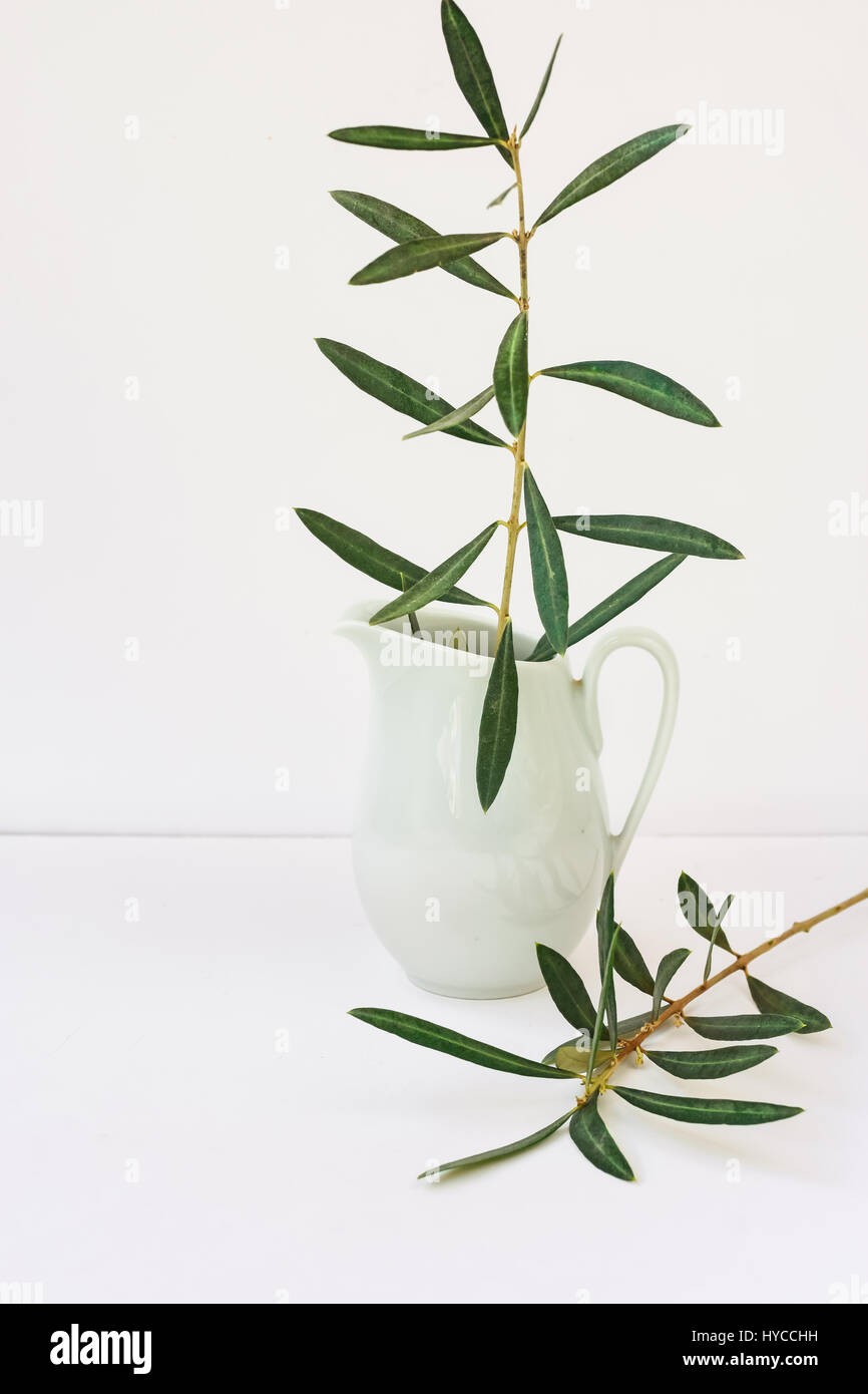Olive tree branches in pitcher, white background, mockup, styled image ...