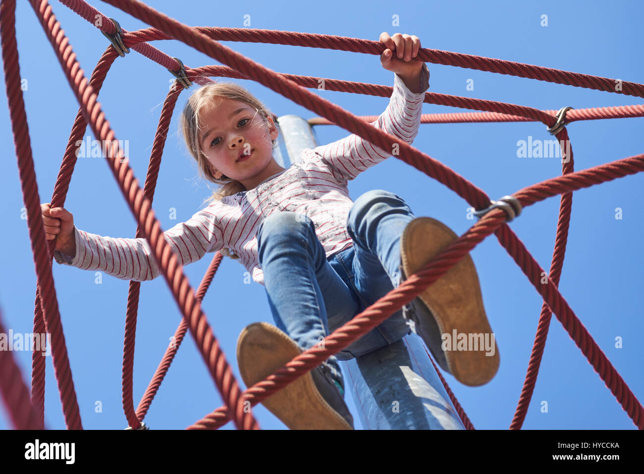 Spider web tree swing hi-res stock photography and images - Alamy