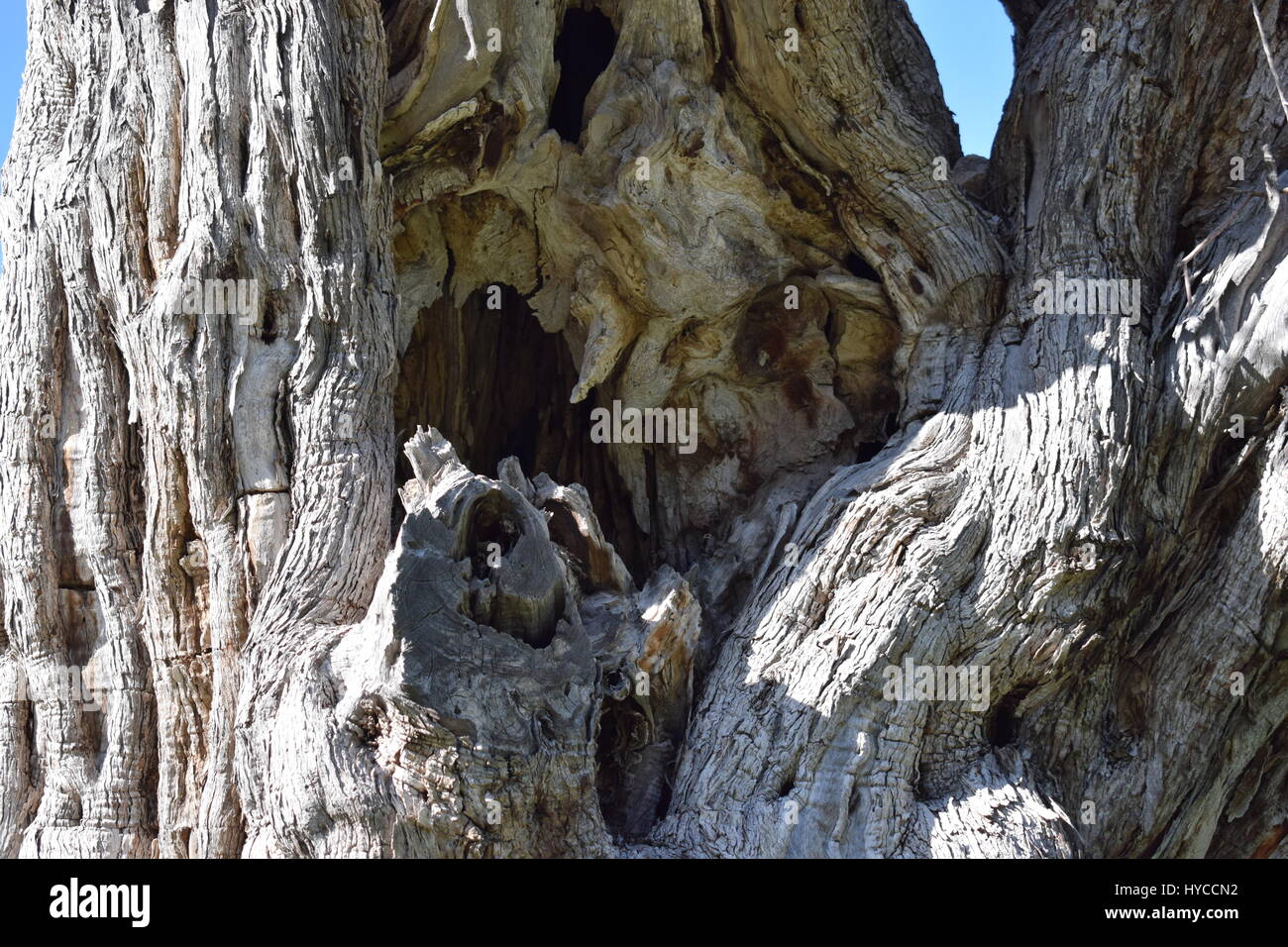 Merlin statue hi-res stock photography and images - Alamy