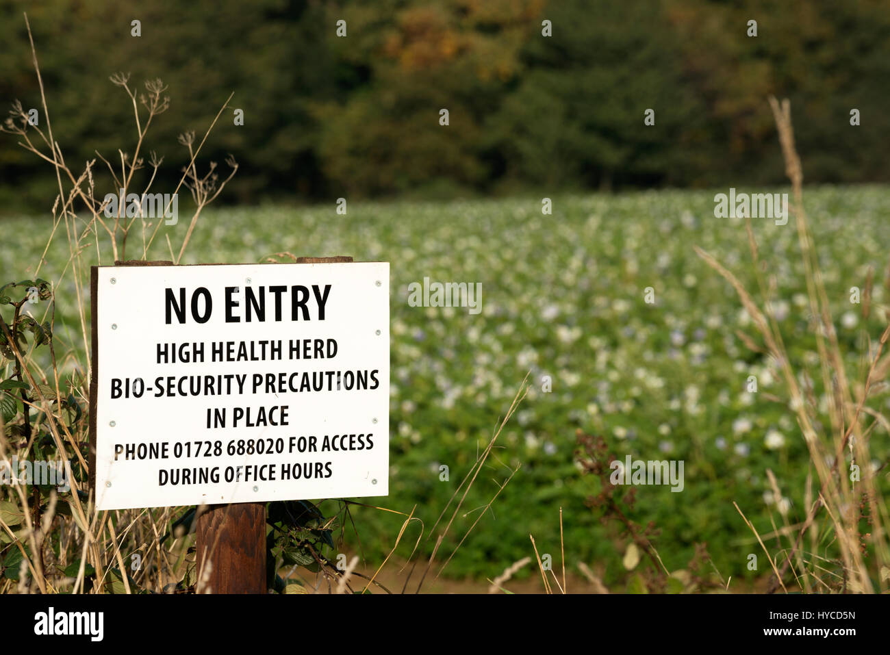 No Entry High Health Herd Bio-Security precautions in place sign Stock ...