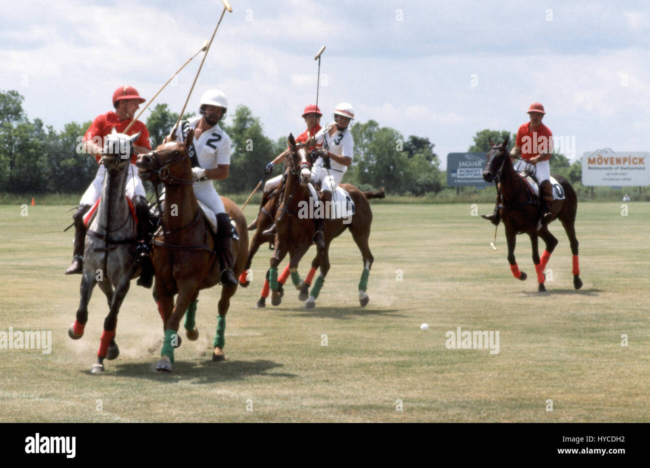 Polo long handled mallet hi-res stock photography and images - Alamy