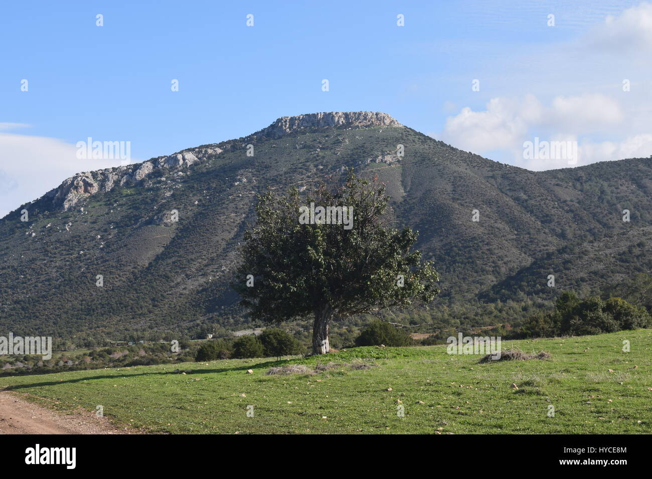 Landscapes in cyprus hi-res stock photography and images - Alamy