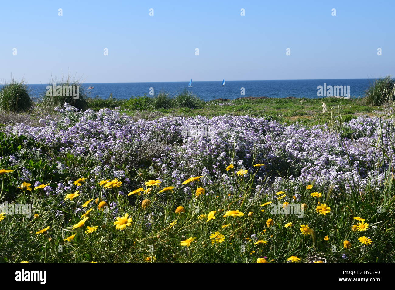 Spring time in cyprus hi-res stock photography and images - Alamy