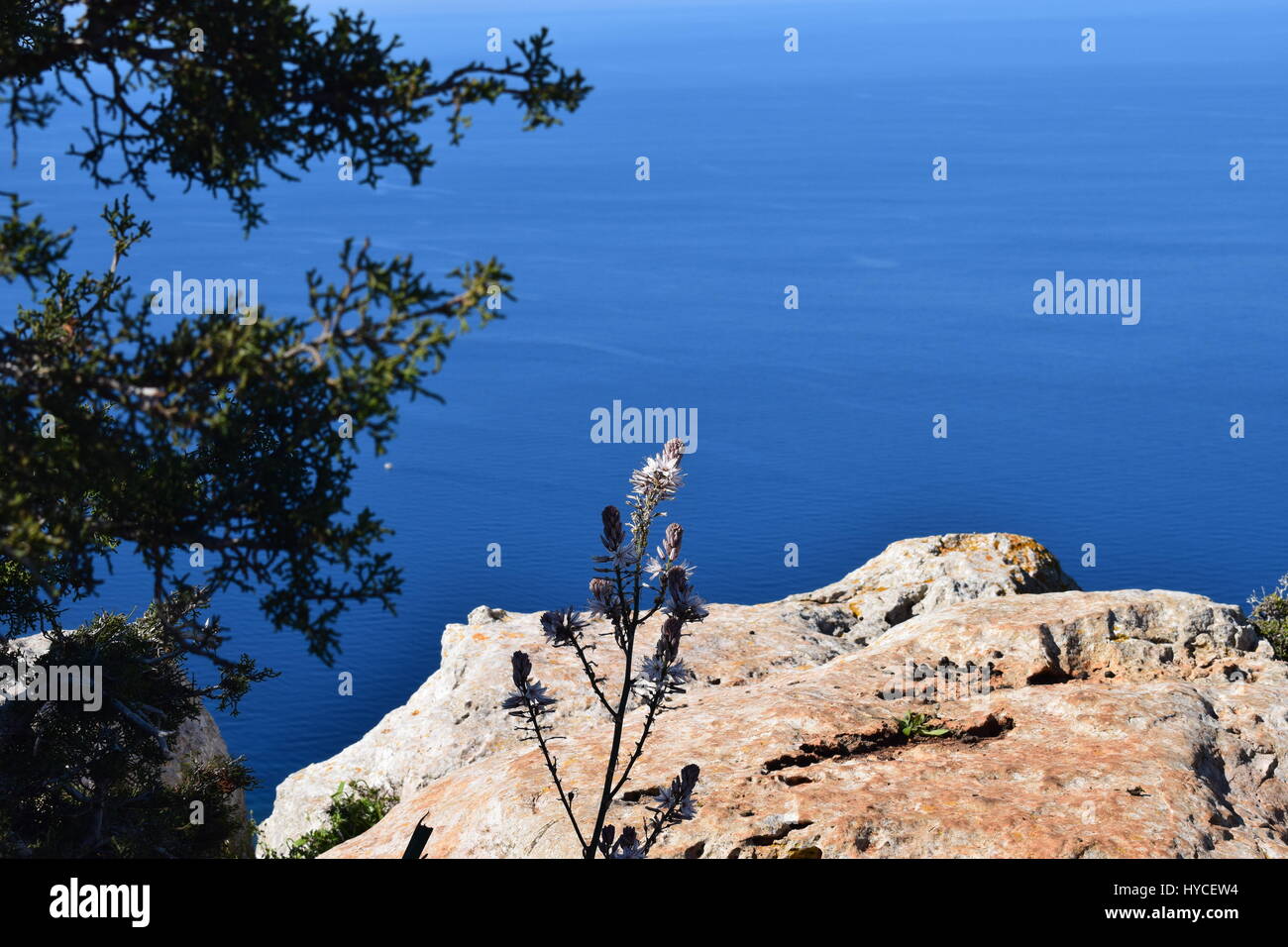 Summer time sea view hi-res stock photography and images - Alamy