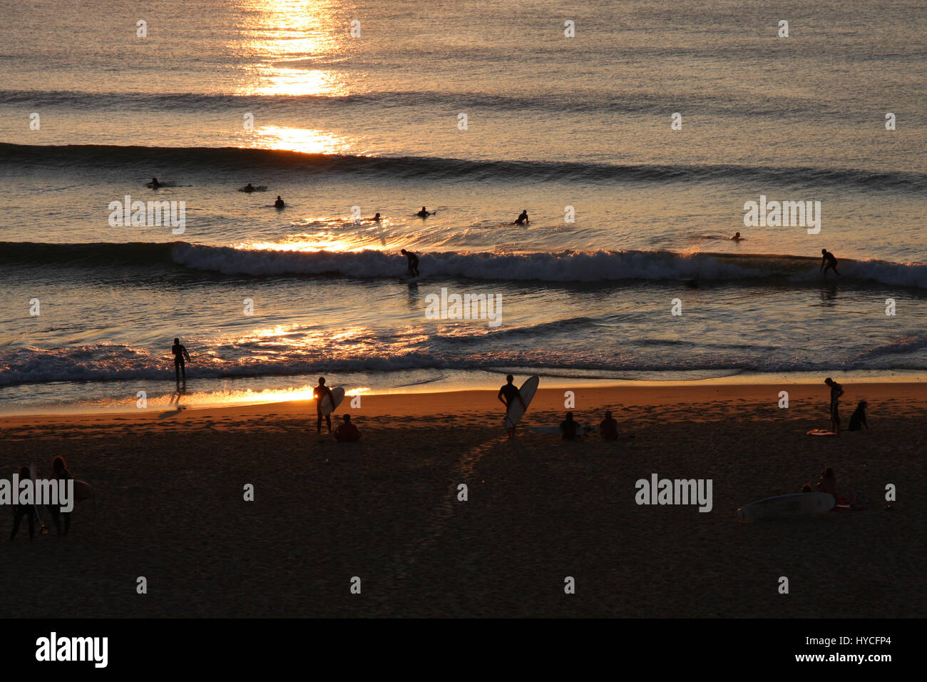 Young people swimming and surfing on the beach at sunset Stock Photo ...