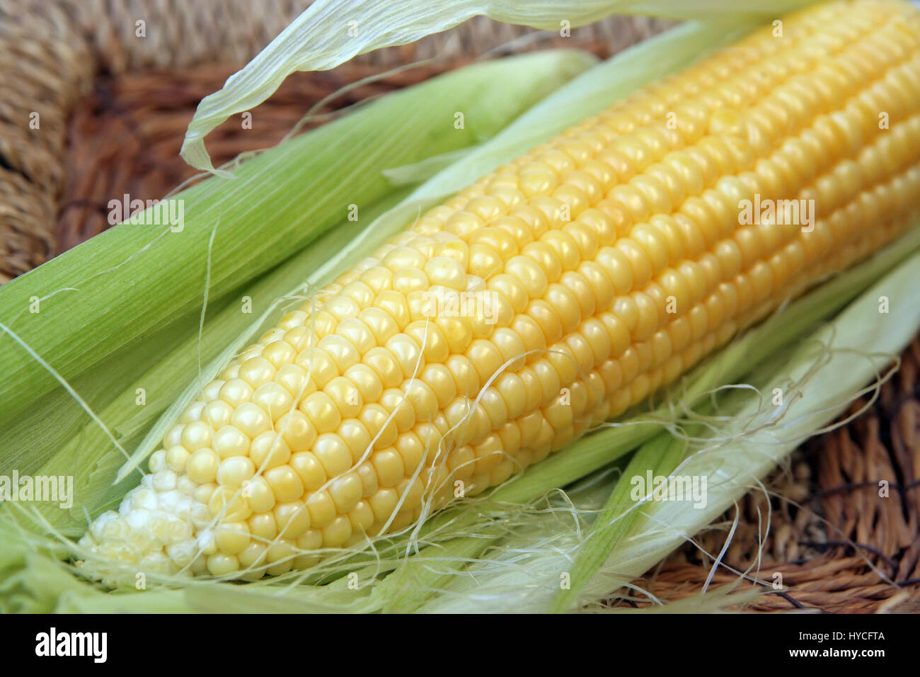Corn cob. Fresh corn cob Stock Photo - Alamy