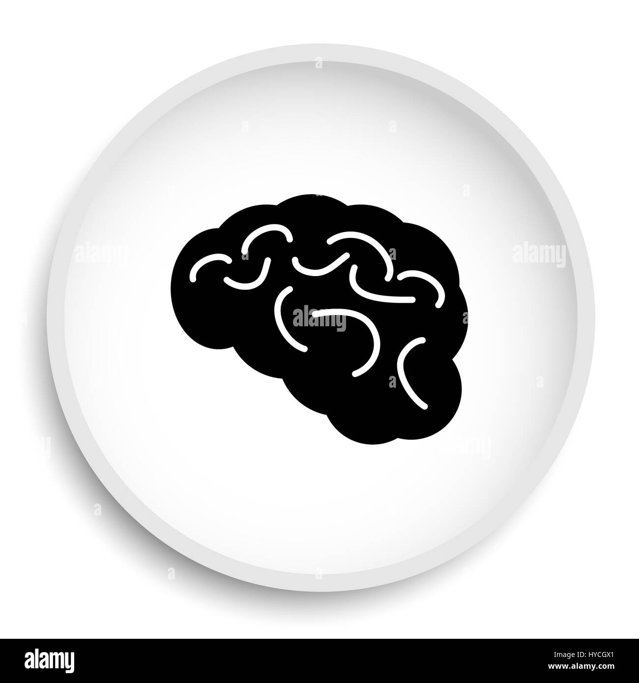 Brain icon. Brain website button on white background Stock Photo - Alamy