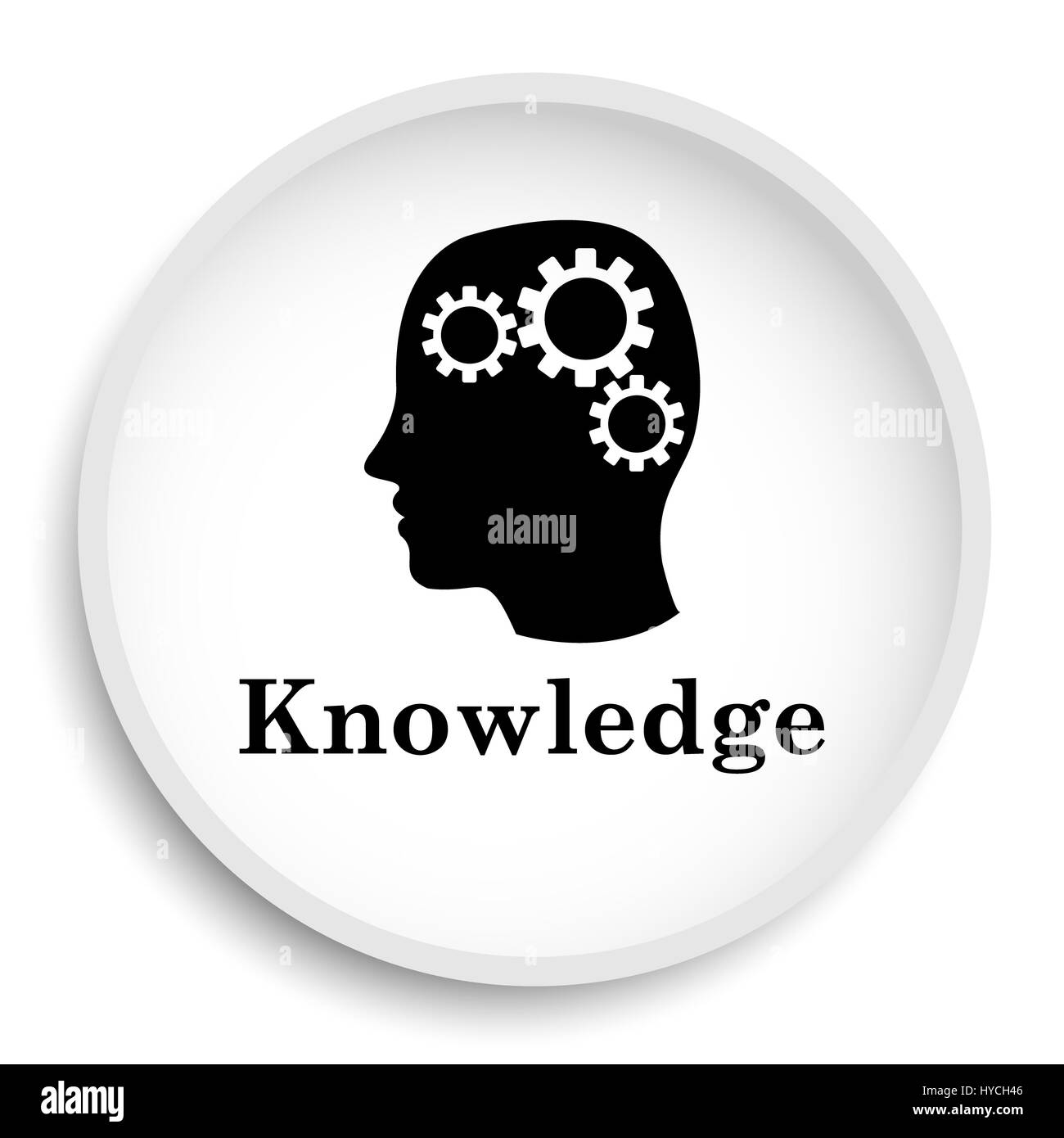 Knowledge icon. Knowledge website button on white background Stock ...