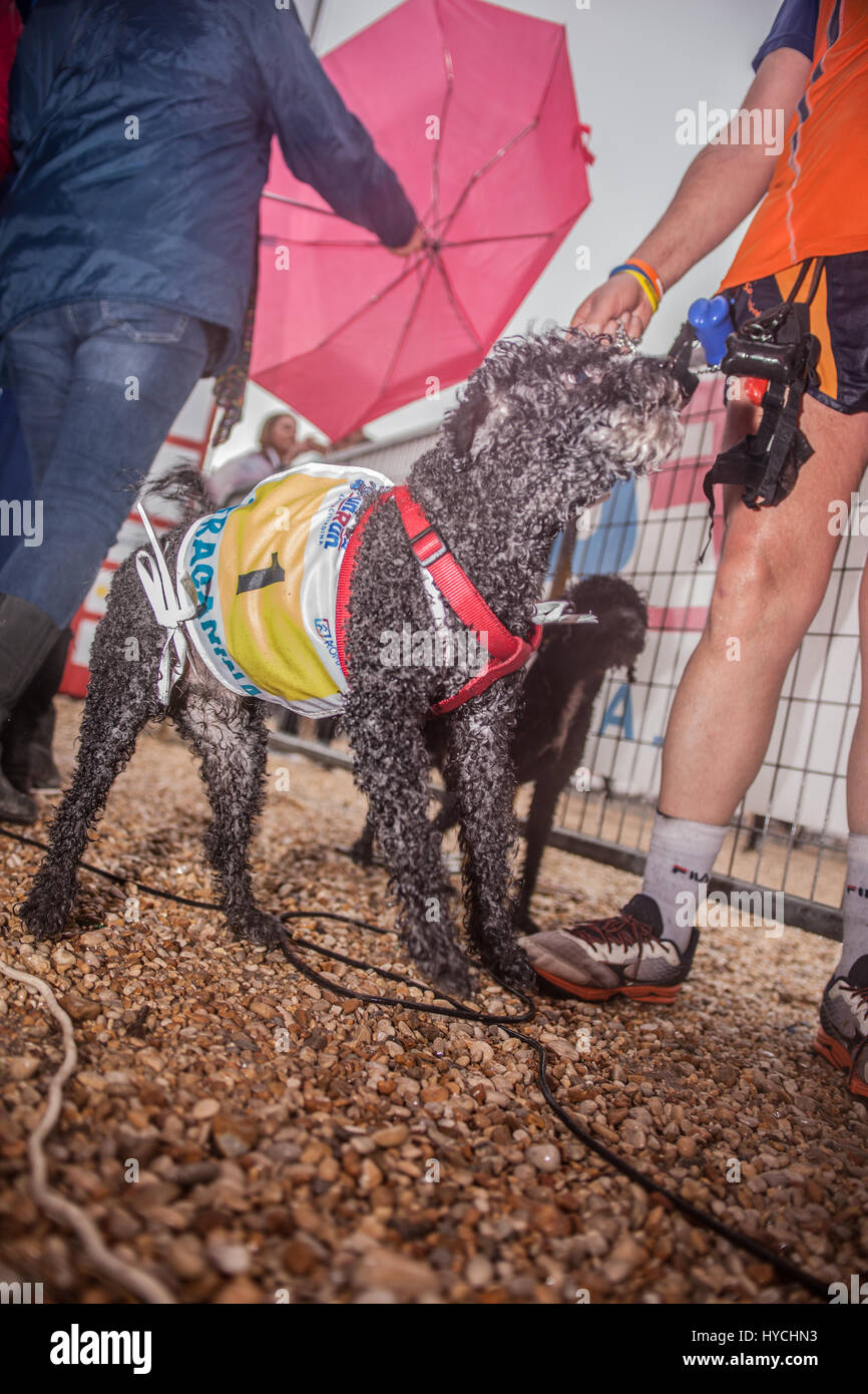 Non-competitive event, merged its 23rd Rome Marathon: the FunRun 2017 ...