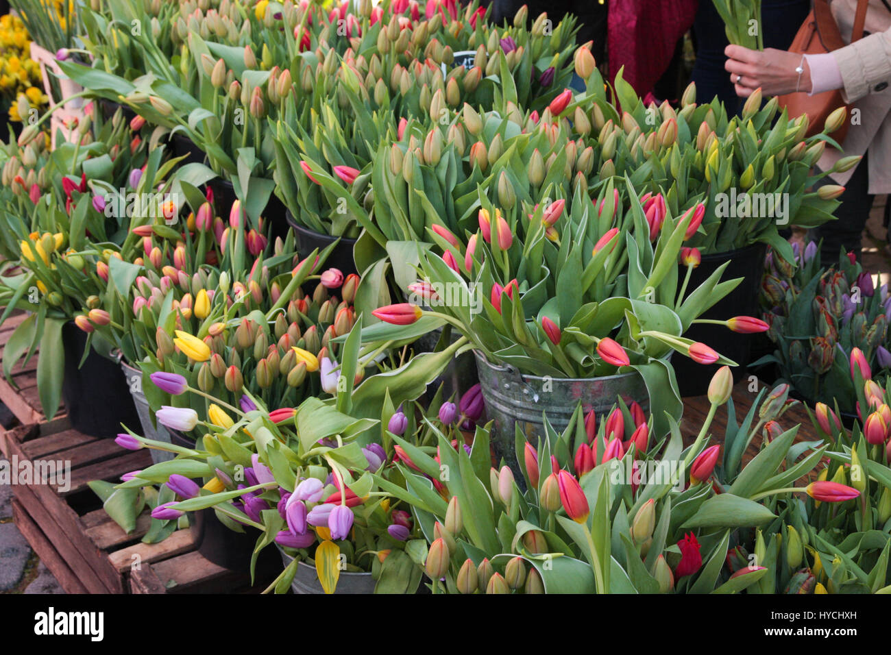 Farmers march hi-res stock photography and images - Alamy