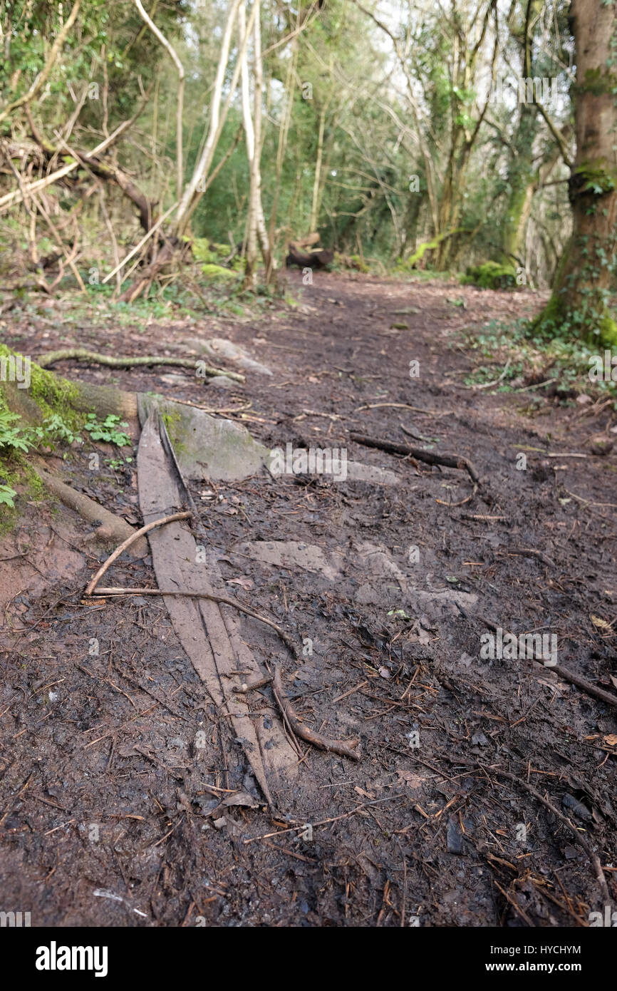 22nd March 2017 - A very muddy path with a mesh laid to prevent further ...