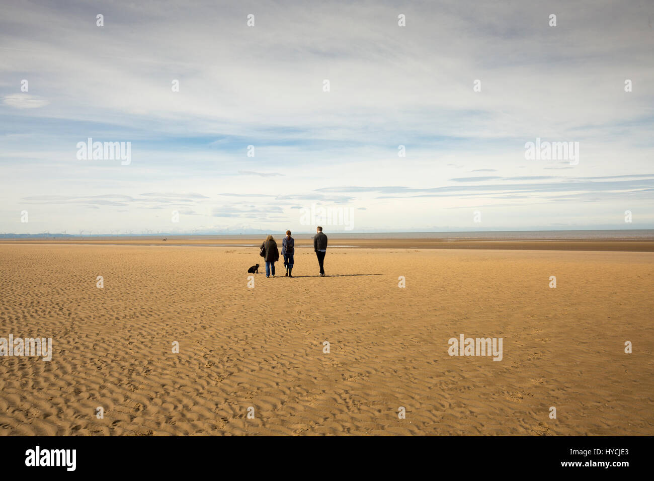 Formby Beach near Liverpool , England. Afamily walk their dog Stock ...